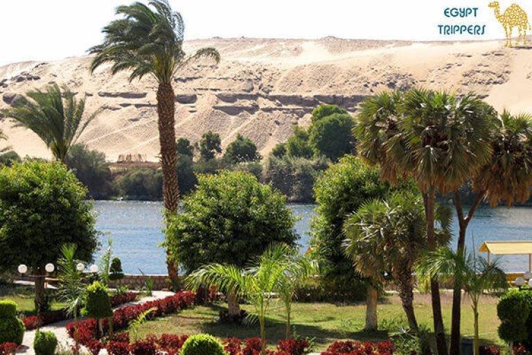 Why you Should Visit Island Plants in Aswan?