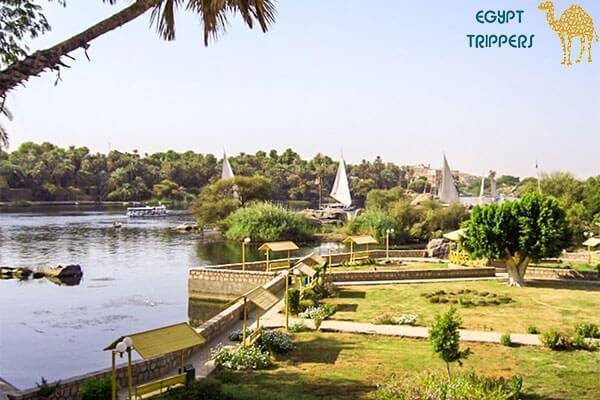 What to Expect When you Visit The Elephantine Island?