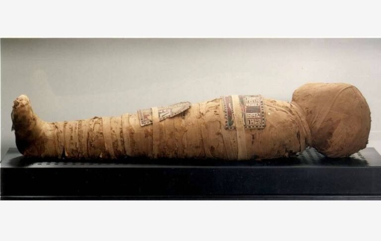 What Did Mummies Look Like - Real Face Reconstructions